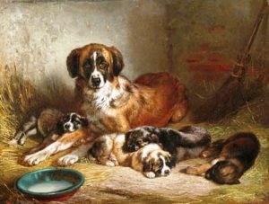 21 Interesting Facts About Bernese Mountain Dog - DogCrunch