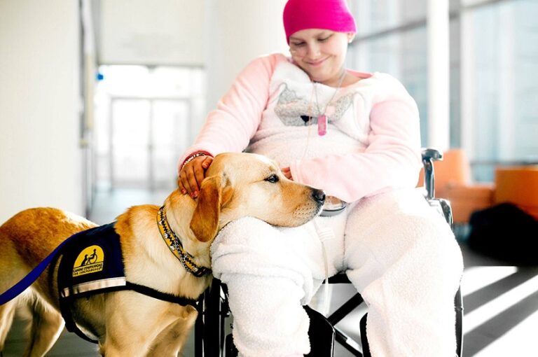 15 Dog Breeds Used For Therapy - DogCrunch